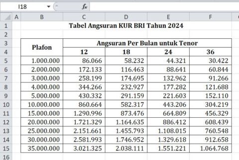 Cara Mudah Menghitung Bunga KUR BRI dengan Rumus Excel | Depot Excel