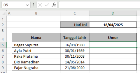 Cara Menghitung Umur Otomatis di Excel dengan Rumus VBA yang Mudah | Depot Excel